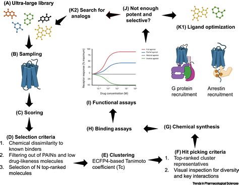 Targeting In Silico Gpcr Conformations With Ultra Large Library Screening For Hit Discovery