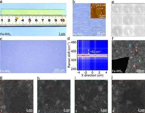 Epitaxial Growth Of 4 Inch Single Crystal Fe Ws2 Monolayers On