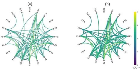 Functional Connectivity Differences In Brain Theta Band Between