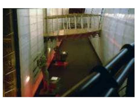 Figure 6 New Strategies Of Exhibition Design For A Natural