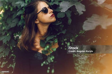 녹색 홉 부시 대기 순간에 포즈 세련된 힙스터 소녀 공원에서 휴식 검은 선글라스에 유행 멋진 여자의 초상화 선택적 초점 창조적 인 이미지 텍스트를 위한 공간 거리에 대한