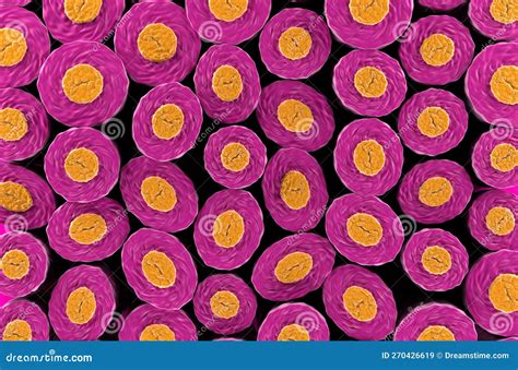 Healthy Human Nerve Fiber Section Neuron Fibres 3d Illustration Top View Stock Image