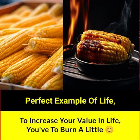 Saran Kumar R On Linkedin Perfect Example Of Life