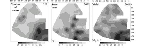 Spatial Variability Maps For Sugarcane Yield Download Scientific Diagram