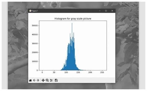 Histogram Equalization In Python Envato Tuts