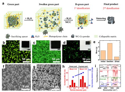 北工大硬质合金：可塌缩基质辅助数字光处理实现硬质合金高精度打印 北京工业大学纳米材料与计算材料学研究组