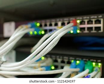 Network Switch Ethernet Cables Stock Photo Shutterstock