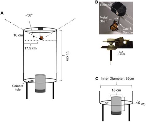 Flight Simulator Apparatus Used For Testing The Flight Behavior Of Download Scientific Diagram