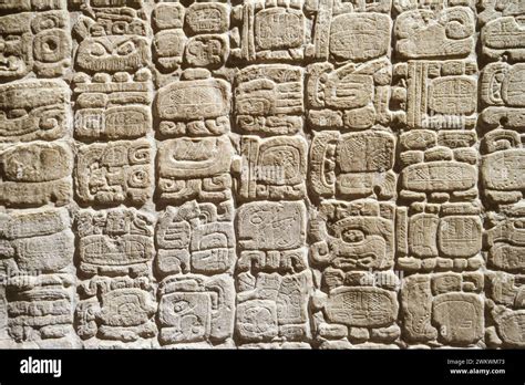 Mayan Script On Stela 31 From Tikal In The National Museum Of