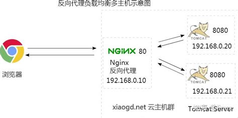 深入理解 反向代理nginx 知乎