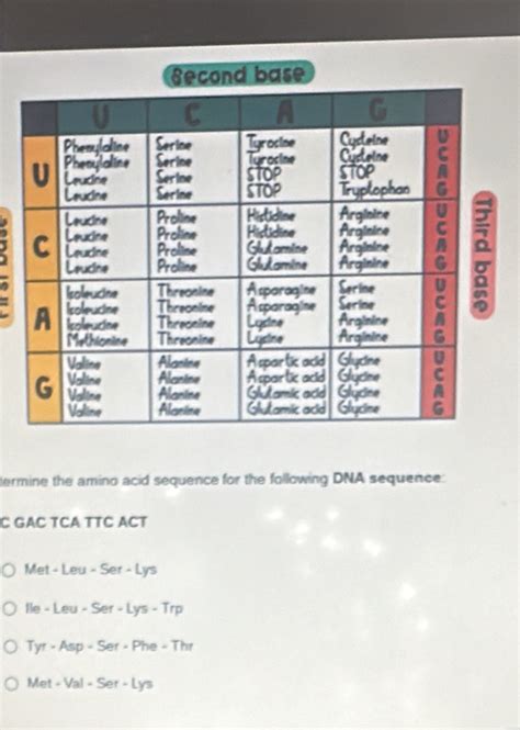 Solved Ase Termine The Amino Acid Sequence For The Following Dna Sequence C Gac Tca Ttc Act