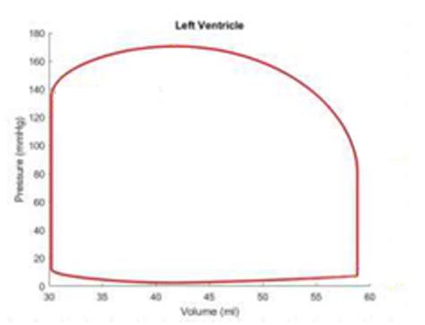 P V Loop Diagram Quizlet