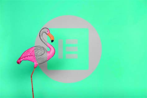 Elementor Website Designer Orange Snowman