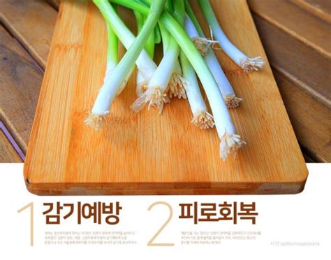 리스티클 어느 요리에도 빠질 수 없는 ‘파 효능 8가지 아시아투데이