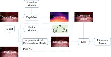 The Architecture Of The Proposed Self Supervised 3d Dimensional