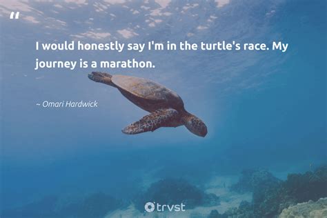 18 Turtle Quotes Inspiring Us To Reflect On A Turtles Way Of Life