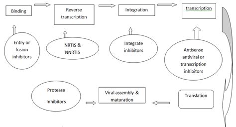 machine learning approaches in drug development of hiv aids medcrave