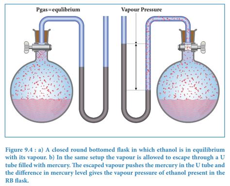 Vapour Pressure Of Liquid Solutions Chemistry