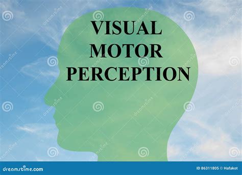 What Is Visual Motor Perception At Jesus Turner Blog