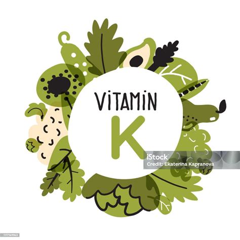비타민 K가 풍부한 식품의 플랫 벡터 일러스트 음식 프레임 0명에 대한 스톡 벡터 아트 및 기타 이미지 0명 Charity Benefit 개체 그룹 Istock