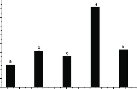Aspergillus Niger Lipase Production Through Solid State Fermentation Of