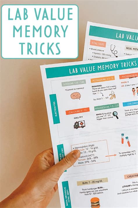 lab value cheat sheet memory tricks 2 pages 2023 edition nursing notes