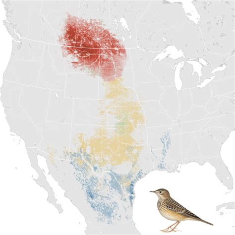 Ebird Abundance Maps Land Trust Bird Conservation Initiative