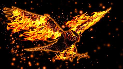 Neon Eagle Wallpapers Top Free Neon Eagle Backgrounds Wallpaperaccess