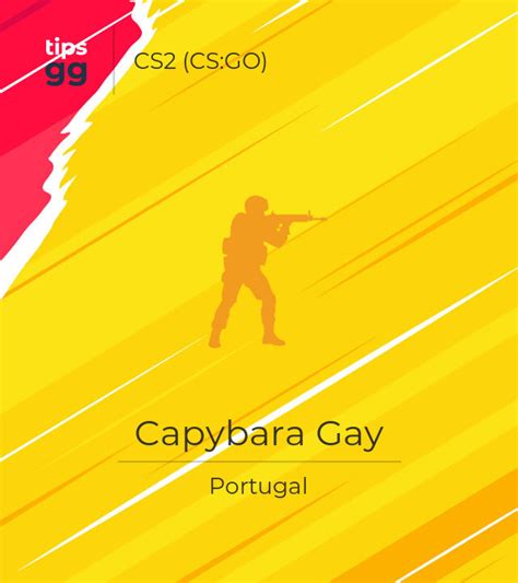 Capybara Gay CS CS GO Team From Portugal Tips GG