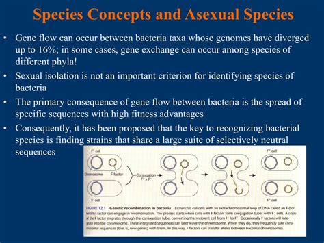 Ppt Species Concepts Powerpoint Presentation Free Download Id 442294