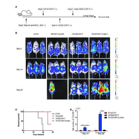 Crs Grading Scales Penn Grading Scale Ctcae V4 0 And 2014 Lee Et Al Download Table