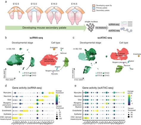 Lukas Simon On Linkedin Single Cell Multiomics Decodes Regulatory