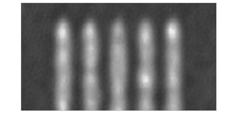 Setting Up A Line Scan Camera