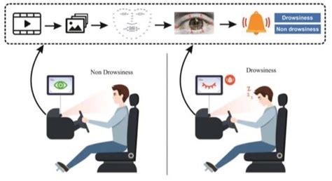 A Diagram Of How The Software Works Download Scientific Diagram