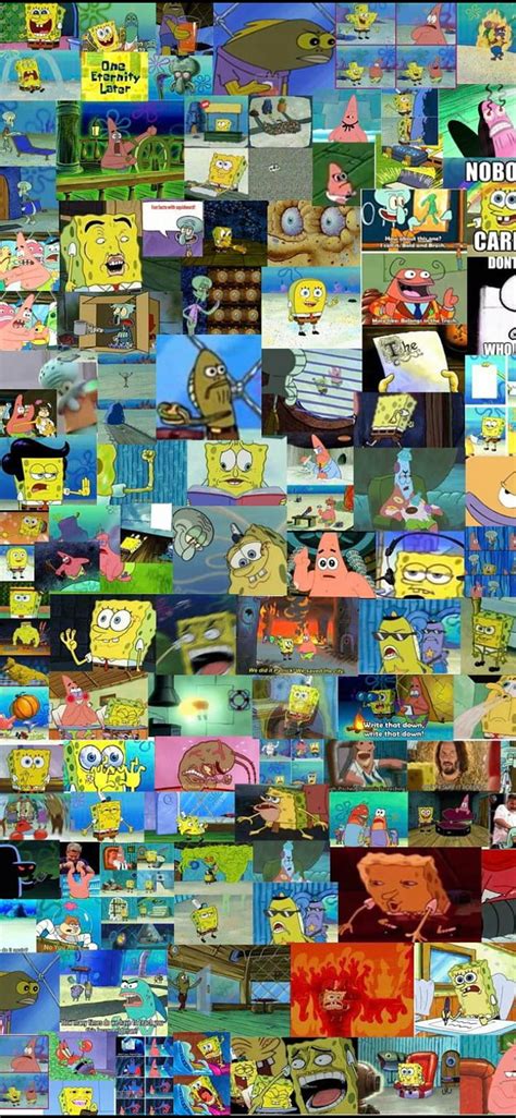 Spongebob Wallpaper Meme Usa Shop