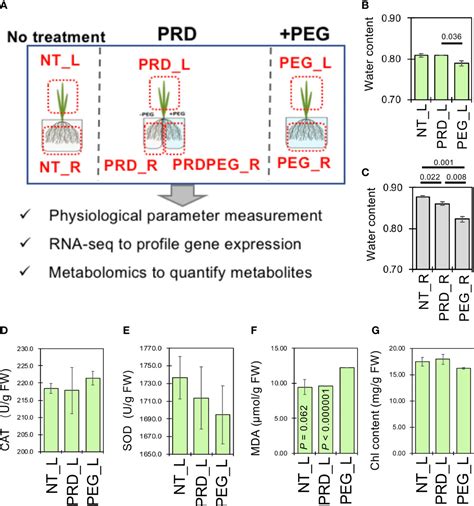 Frontiers Integrated Omic Analysis Provides Insights Into The Molecular Regulation Of Stress