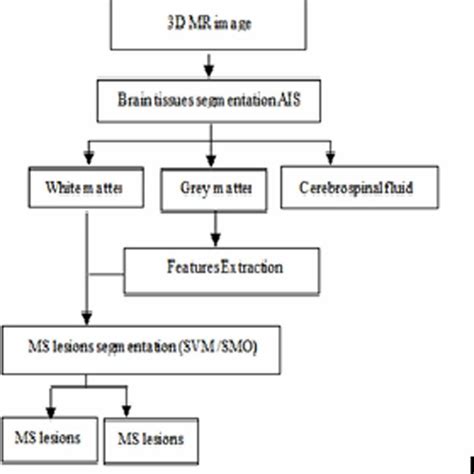 Flowchart Of The Proposed Approach For Ms Lesions Segmentation