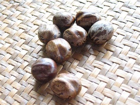 KAMPUNG DUSUN BULUH PULAI CHONDONG MACHANG KELANTAN Dsnbuluh Blogspot Com Biji Getah