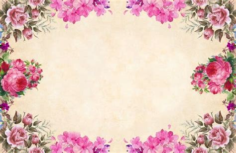 Download Flower Floral Background Royalty Free Stock Illustration
