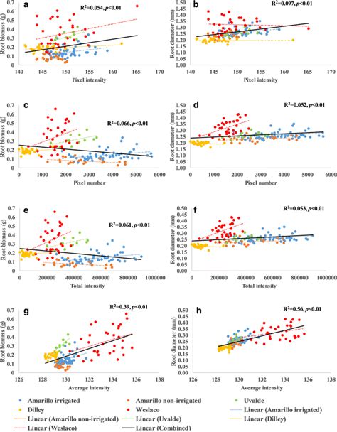 Relationships Between Gpr Signal And Root Traits Statistics Are For