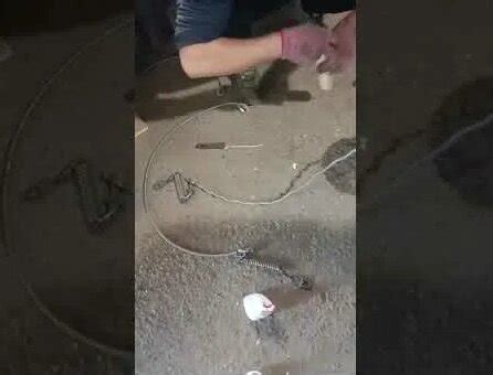 как сделать капкан для кабана. живоловушка на кабана. петля на кабана ...