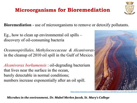 Microbiologymicrobes In The Environment Pptx