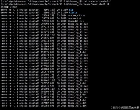 【oracl 19c 时区版本升级dstv32 Dstv43（ora 39405）】43补丁 Csdn博客