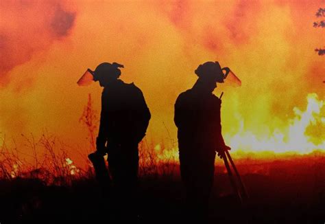 Como Debe Actuar Un Vigilante De Seguridad Ante Un Incendio Forestal