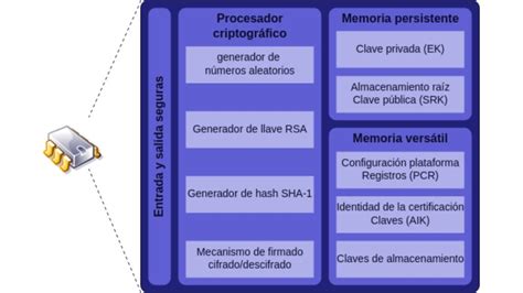 Differences Between Tpm Ftpm And Dtpm Complete Guide 2025