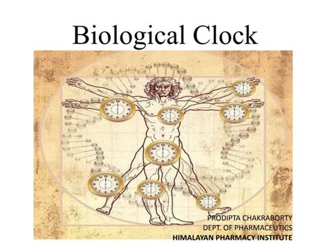 Biological Clock Pptx