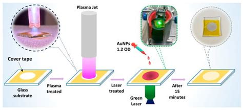 Nanomaterials Special Issue Micro Nanoengineering Systems