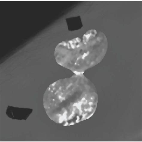 Spatial Distribution Of Parameter A Download Scientific Diagram