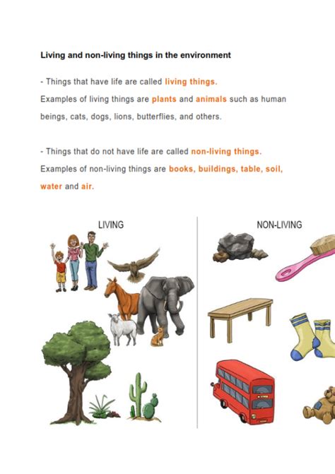 GRADE RATIONALIZED SCIENCE AND TECHNOLOGY NOTES Elimu Cloud Notes