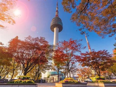 Tour Du Lịch Hàn Quốc Mùa Thu Giá Tốt Năm 2024